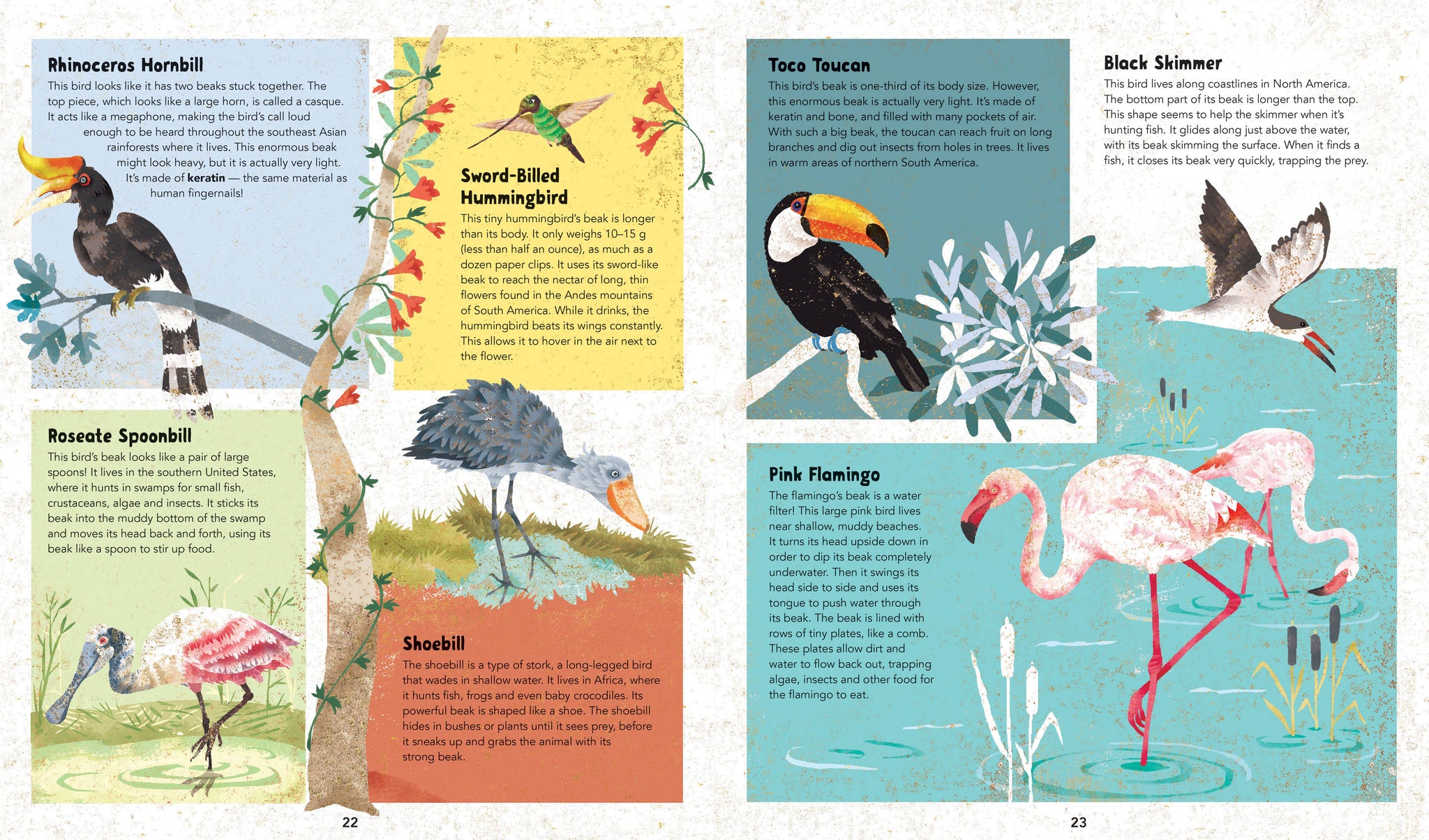 Incredible Animals- Barefoot Books – Cultural Interiors