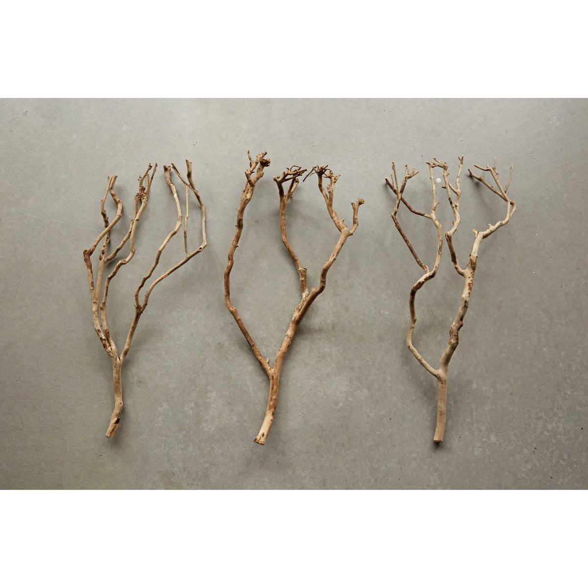 Natural Tea Tree Branch – Cultural Interiors